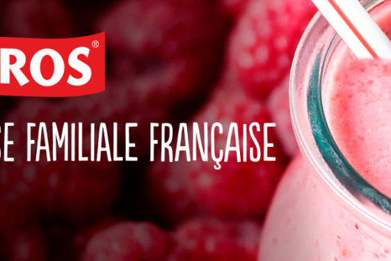 Emploi Andros - Compte Clé GMS Régional H/F - Secteur Rennes-Nantes-Le ...